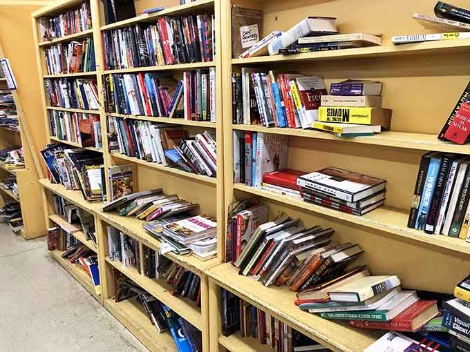 Enough reading material to survive multiple snowstorms without ever resorting to doomscrolling through your phone.