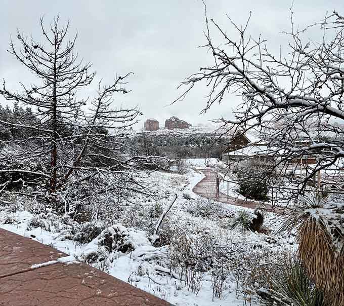 Snow-dusted red rocks create a color combination that shouldn't work but absolutely does, like pineapple on pizza but less controversial.
