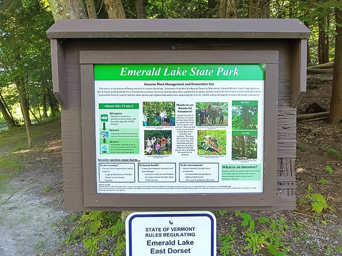 Educational signage that somehow manages to make forest restoration sound like the plot of an environmental thriller.
