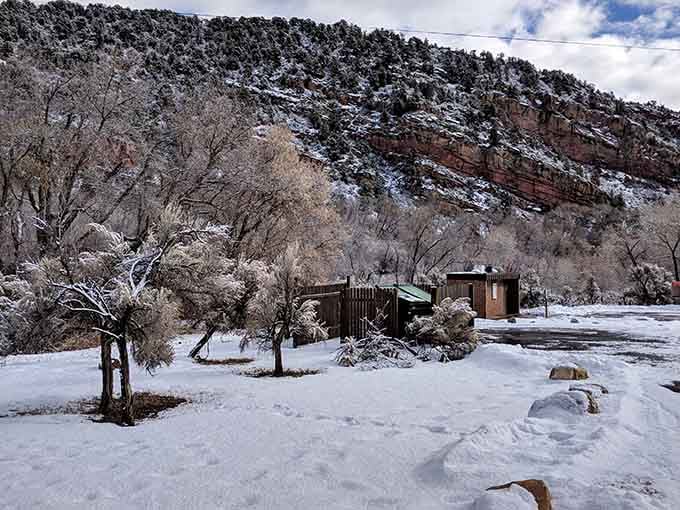 Winter transforms the park into a snowy wonderland that looks like a Hallmark movie set.