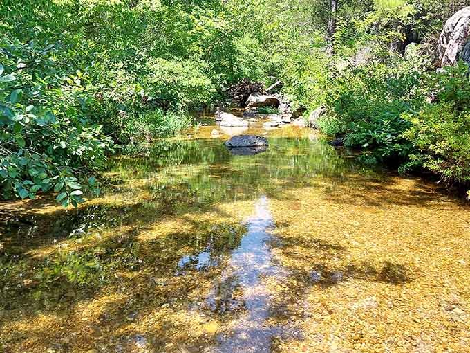 Crystal-clear water reflects the canopy above in this peaceful stretch where time seems to slow down.
