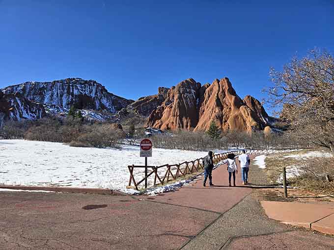 Winter transforms the red rocks into a snow-dusted masterpiece that looks like a holiday card come to life.