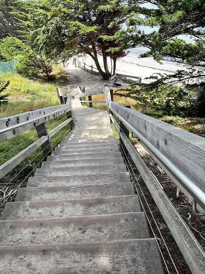 Wooden stairs descend toward the coast where cypress trees and ocean breezes create the kind of view postcards dream about.