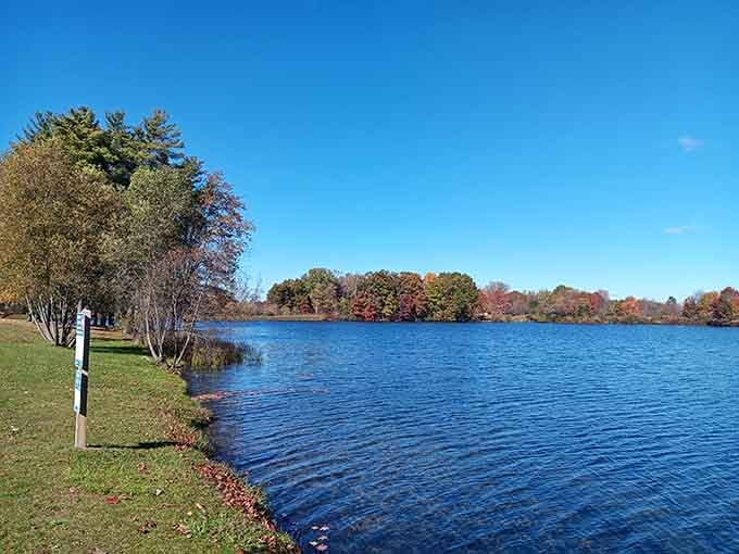 Blue water meeting blue sky, proving that sometimes the best things in life really are this simple.