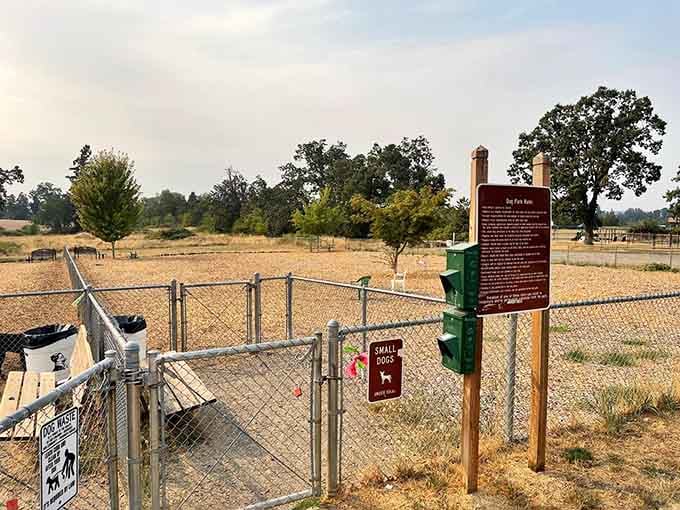 Even the dogs get their own park here, because Silverton believes everyone deserves a little outdoor recreation time.