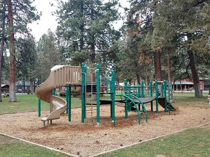 Let the kids loose while you catch your breath, because good parenting includes strategic rest stops.