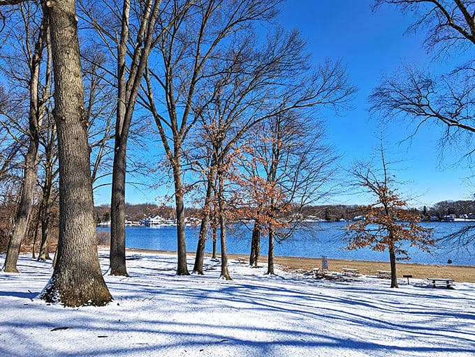 Winter's crisp beauty transforms the lakeshore into a snow globe scene you can actually walk through.
