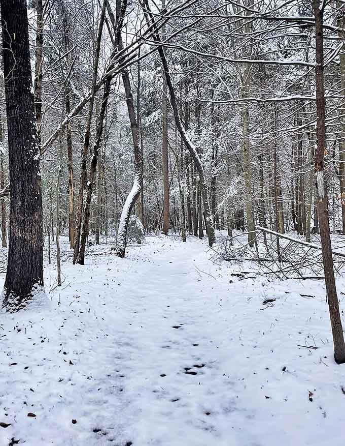 Winter transforms Burgess Falls into a hushed wonderland where snow-dusted trails lead to partially frozen cascades&mdash;a serene alternative to the summer crowds.