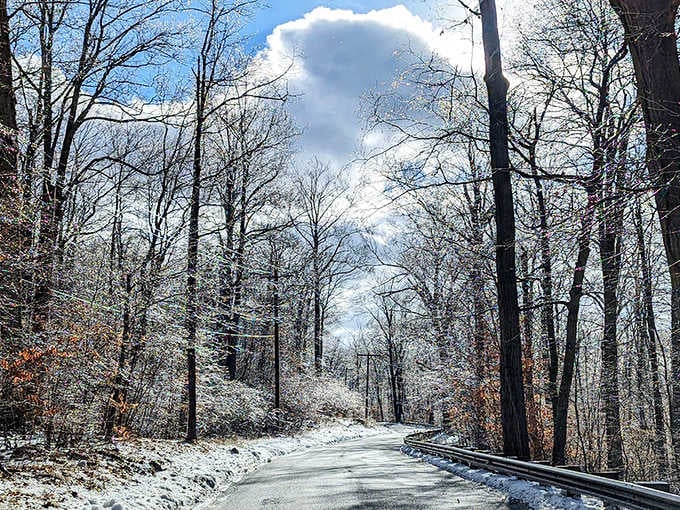 Winter transforms Ringwood's roads into frosted corridors between snow-dusted trees. It's like driving through Narnia, minus the talking lion but with better parking options.
