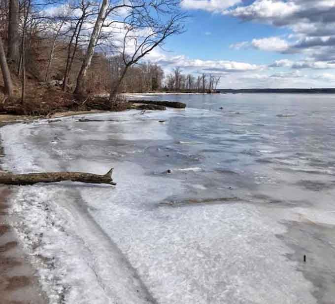 Winter transforms the shoreline into a crystalline wonderland. The partially frozen Potomac creates an otherworldly landscape that few summer visitors ever witness.
