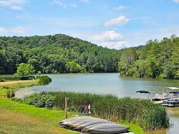 Summer greenery wraps around the lake like nature's own security blanket, peaceful and impossibly lush in every direction.
