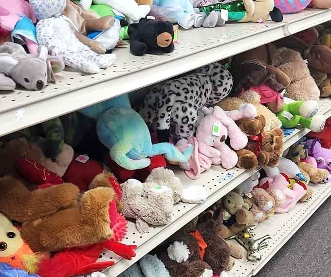 Stuffed animal adoption center where plush friends await new homes. Each one silently promising not to judge your Netflix choices.