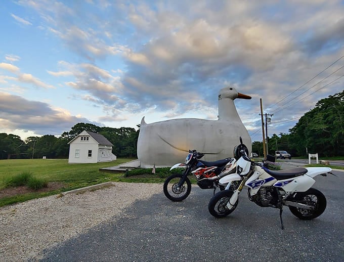 Two motorcycles flanking the Big Duck at twilight creates an image worthy of any travel magazine's cover story.