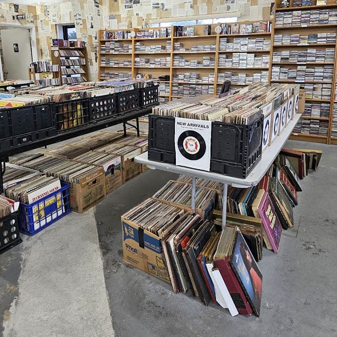 Vinyl records and CDs stacked high remind us that physical media still has devoted fans and rightful homes.