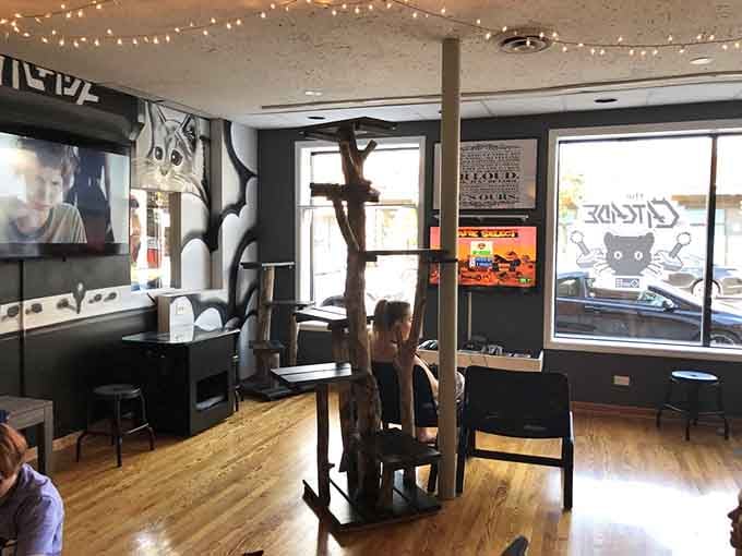 The colorful Lakeview mural outside celebrates the neighborhood's creative spirit and love for all things quirky and fun.