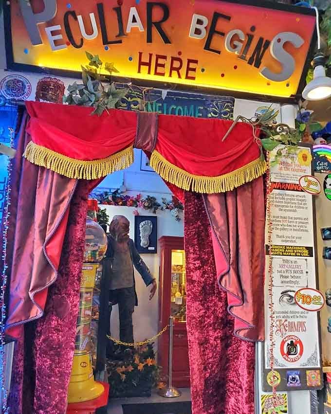 The red velvet curtains invite you into a world where normal rules don't apply and weirdness reigns supreme.