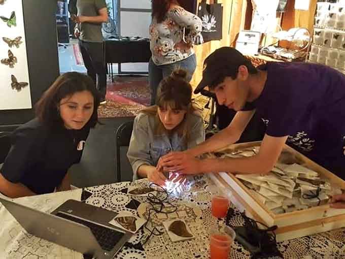Young minds gather around displays, discovering that learning about bugs beats any screen time they've ever experienced before today.