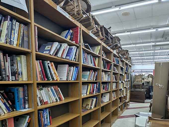 Literary labyrinth where paperbacks and hardcovers create walls of words, each spine a doorway to another world.