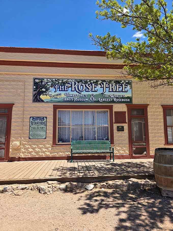 The Rose Tree Museum houses the world's largest rosebush, proving that even tough frontier towns appreciated something pretty.