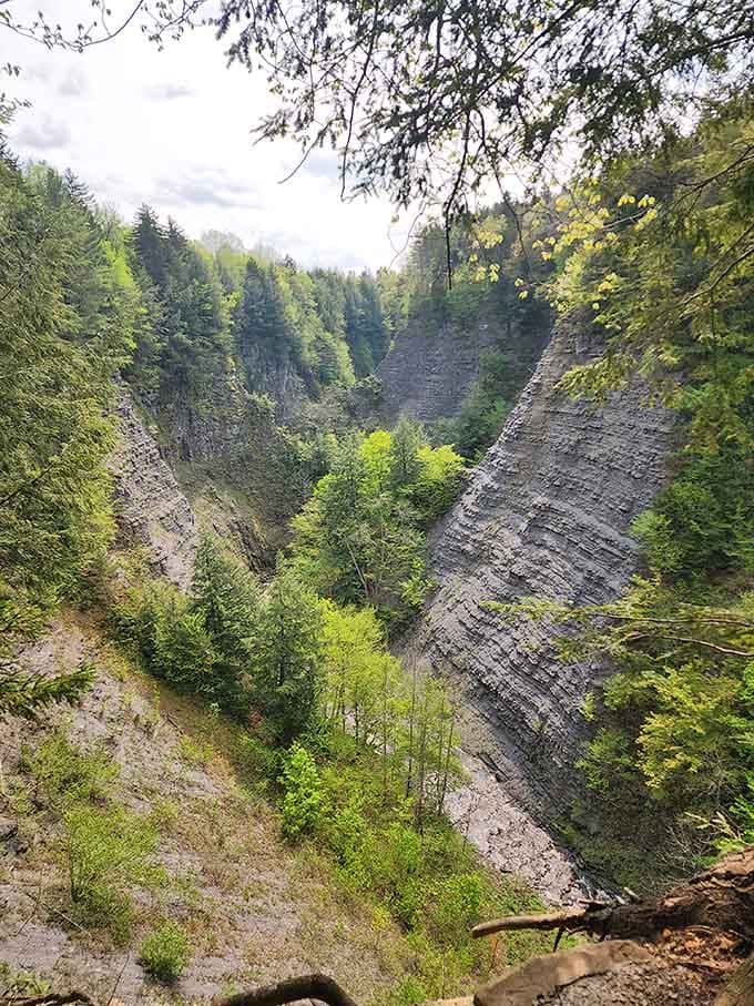 The dramatic gorge walls showcase millions of years of geological history in one breathtaking vertical view.