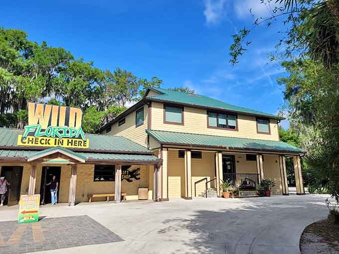 The main building combines rustic charm with practical necessities, because even safari adventurers need bathrooms and souvenir t-shirts eventually.