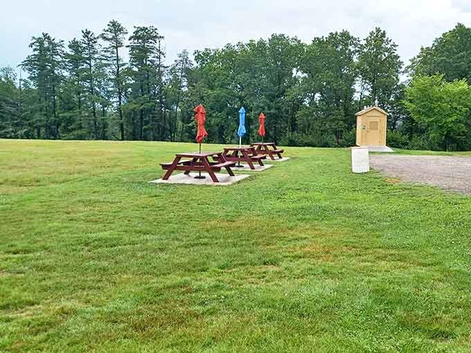 Picnic tables with a castle view beat your backyard setup by approximately one million points.