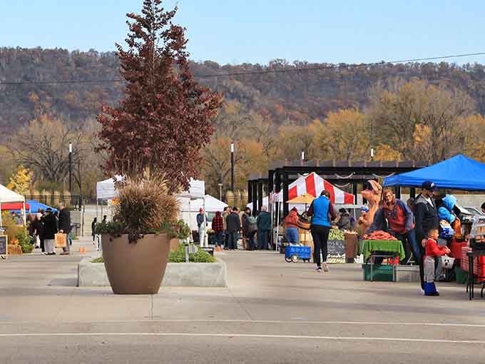 Levee Park hosts farmers markets where the bluffs provide the backdrop and local vendors bring the flavor.