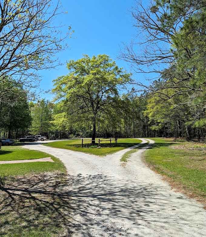 The park entrance welcomes you with shade trees and open spaces perfect for a leisurely afternoon.