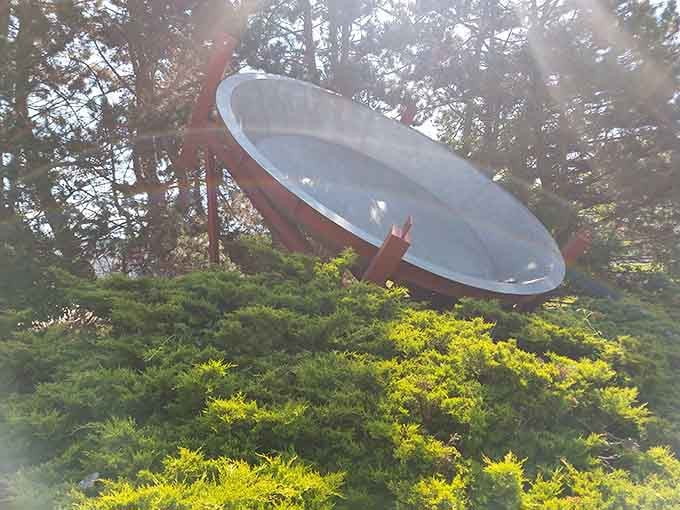 Surrounded by greenery, this oversized cookware somehow looks completely at home in its natural habitat.