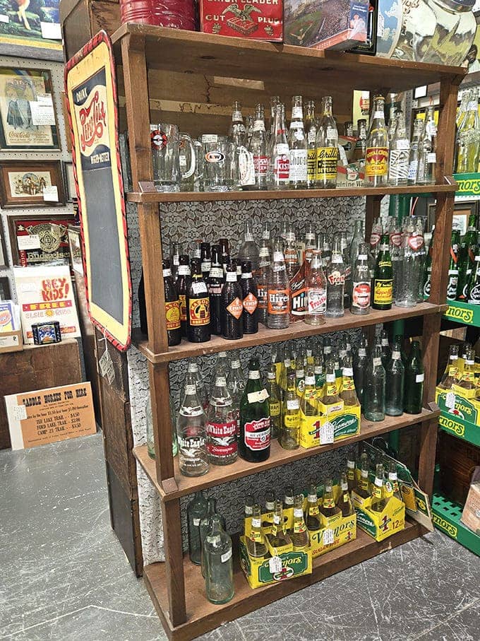 Liquid history bottled and displayed with reverence. These vintage soda and beer bottles tell stories of regional breweries and neighborhood corner stores long vanished.