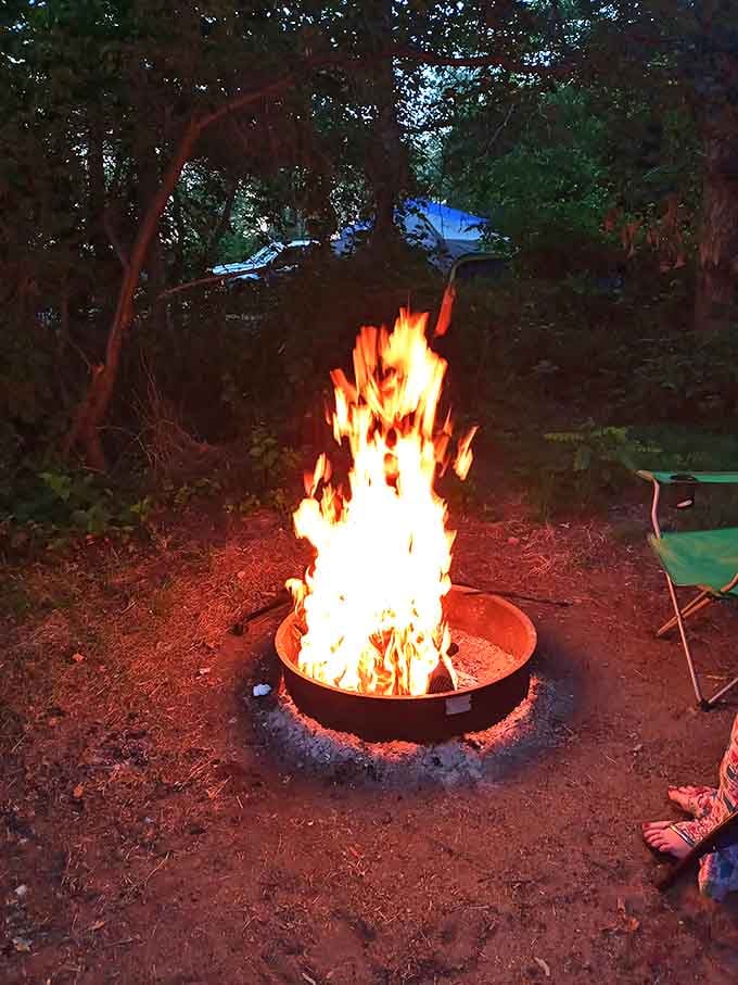 Campfire magic under a canopy of stars. S'mores architects and storytellers have gathered around flames like this since time immemorial.