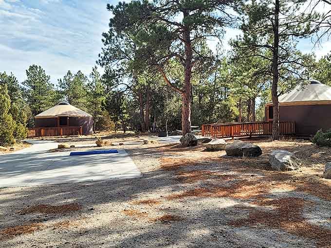 Yurt sweet yurt! These circular shelters offer camping with training wheels&mdash;perfect for those who consider "roughing it" a hotel without room service.