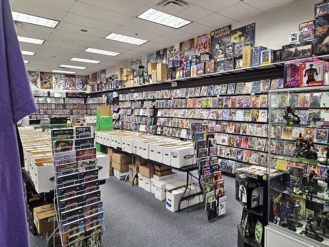 Comic book paradise that would make any superhero fan's spidey-senses tingle. The organization alone deserves its own origin story.