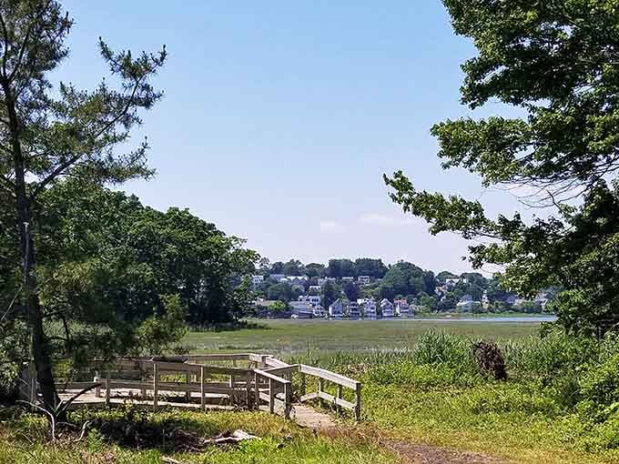 The view that reminds you why Connecticut real estate costs what it does. Waterfront homes peek through the trees like shy celebrities.