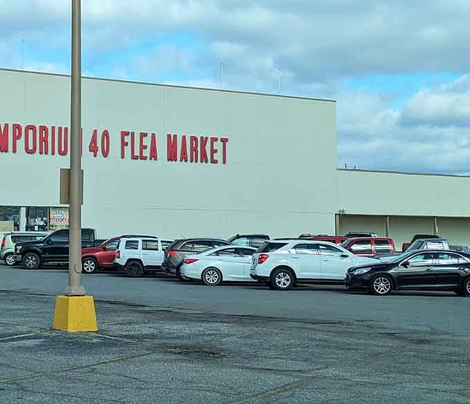 A full parking lot is always a good sign that locals know something worth knowing about.