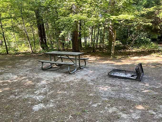 The perfect spot for that sandwich that always tastes better outdoors. Just remember, picnic tables don't come with waitstaff or Wi-Fi.