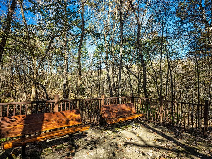 These wooden benches offer front-row seats to nature's greatest show, no tickets required and the performance never disappoints.