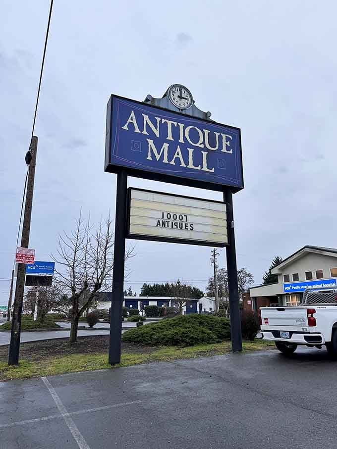 "10001 ANTIQUES" promises the roadside sign, and it's no exaggeration. This landmark has become a pilgrimage site for vintage enthusiasts.