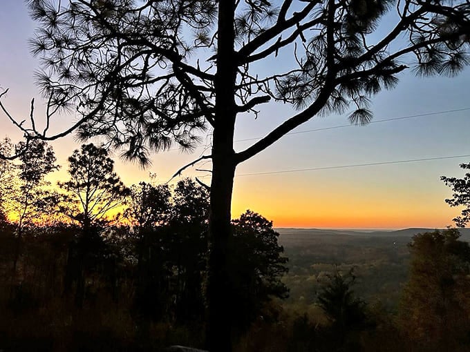 Georgia sunsets don't just end days&mdash;they celebrate them. Nature's grand finale that makes you forget whatever deadline you're missing.