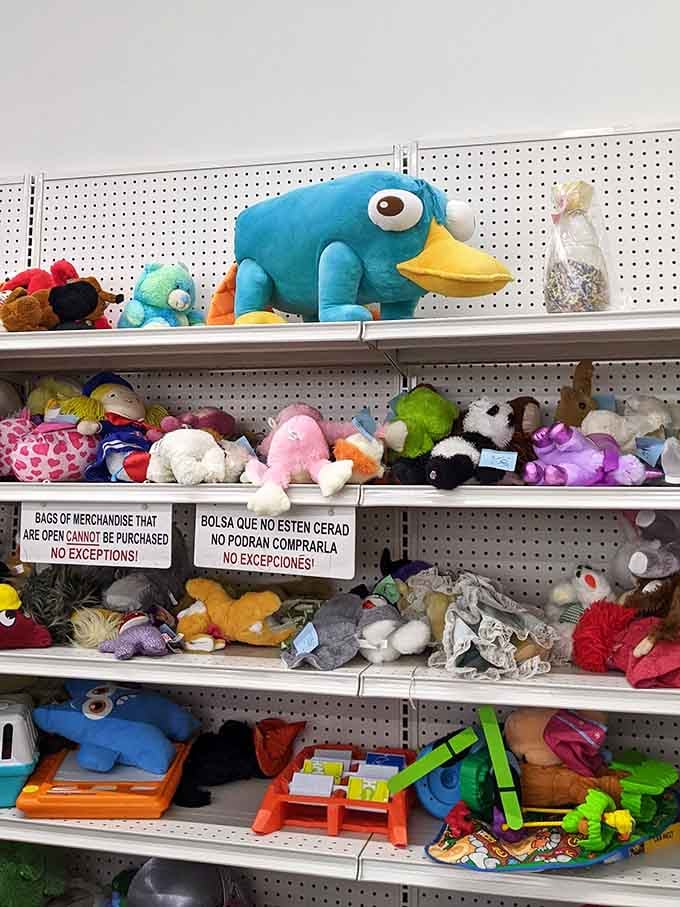 Stuffed animals waiting for new homes, with Perry the Platypus commanding the top shelf. Childhood joy doesn't need to come with a hefty price tag.