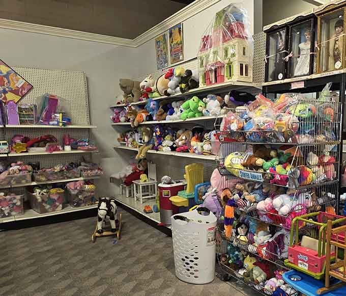 Toy story indeed! This wonderland of gently-loved playthings proves that imagination doesn't require original packaging or batteries.