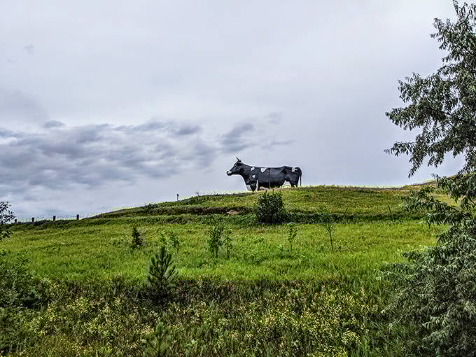 From below, Sue's magnificent stature becomes truly apparent. She's the Statue of Liberty of lactose, minus the torch.