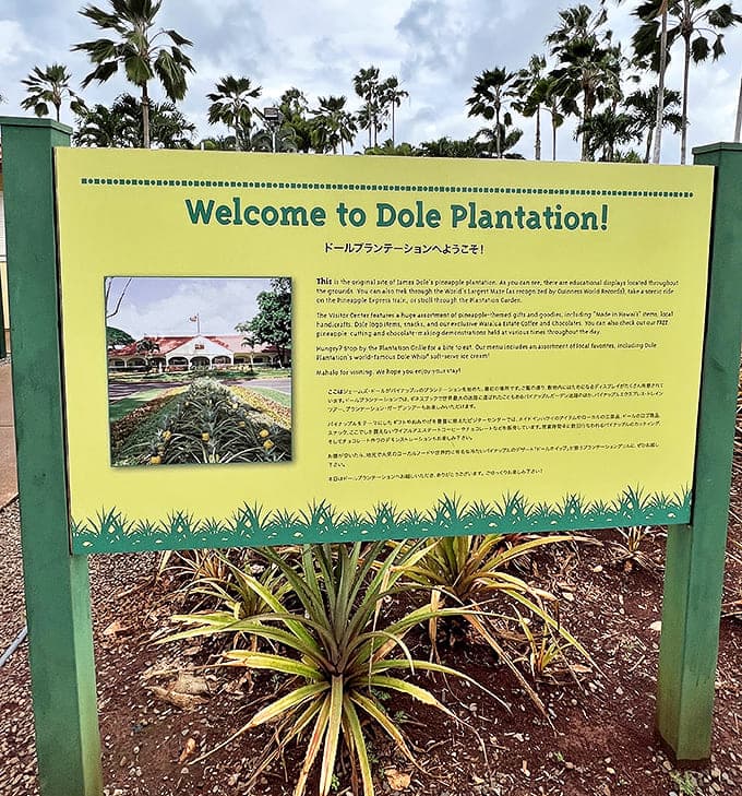 Welcome to wonderland: The cheerful yellow sign greets adventurers with the promise of world-record fun and a taste of Hawaiian agricultural history.