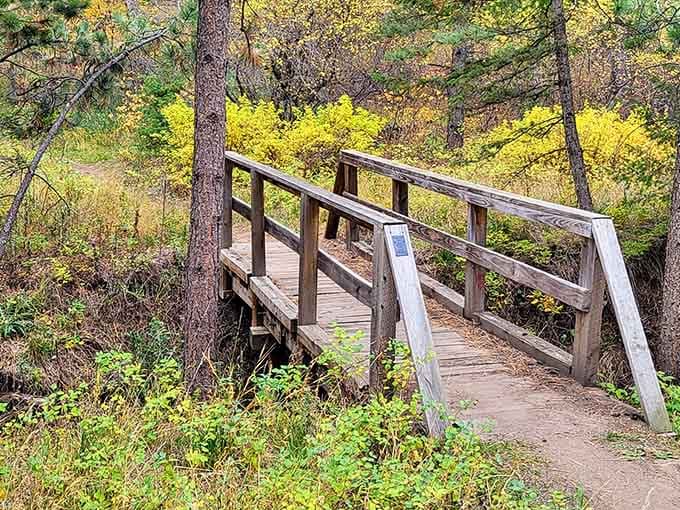 Crossing this wooden footbridge feels like stepping into a Bob Ross painting—happy little trees included, no extra charge.