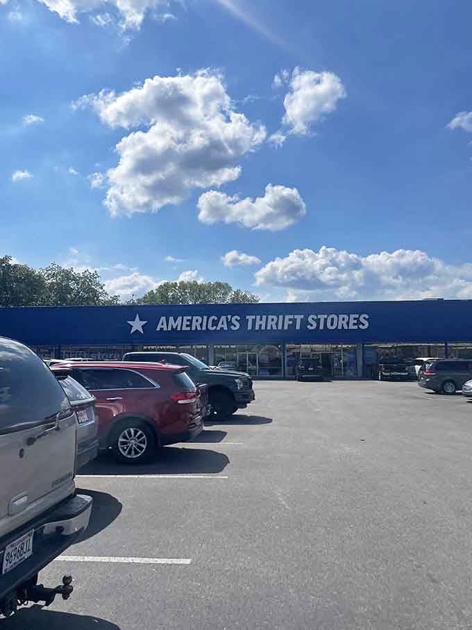 Blue skies and blue signage create perfect harmony, like nature itself approves of your thrifting adventure.