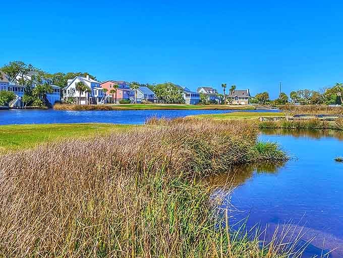 Coastal marshlands showcase nature's own watercolor painting, where blues and golds blend in perfect natural composition daily.
