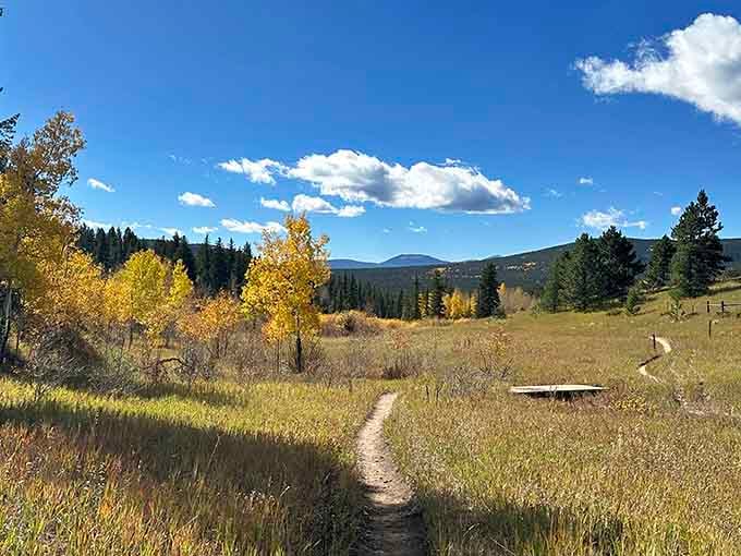 Golden aspens dot the meadow trail leading toward distant peaks, creating that classic Colorado autumn scene we all cherish.