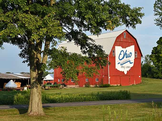 Olena's iconic red barn proudly displays Ohio's heritage, standing tall in a community where your budget breathes easier than in big cities.