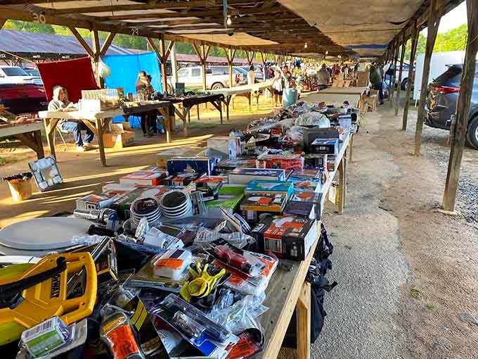 Kitchen gadgets and household tools spread out under shelter, ready to solve problems you didn't know you had.