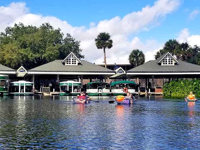 Colorful kayakers glide past the boathouse where palm trees sway and the water stays crystal clear year-round.